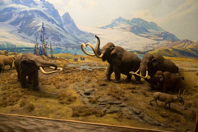 Ice Age New York – New York Nature by Betsy McCully